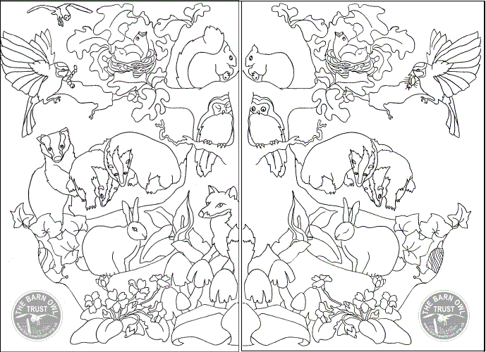 Find The Difference Picture Puzzles Worksheets 99Worksheets
