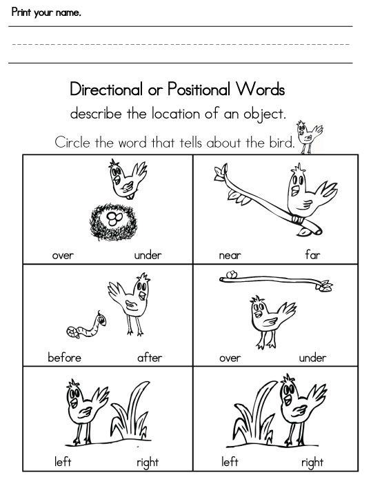 Position Word Check In Worksheets 99Worksheets