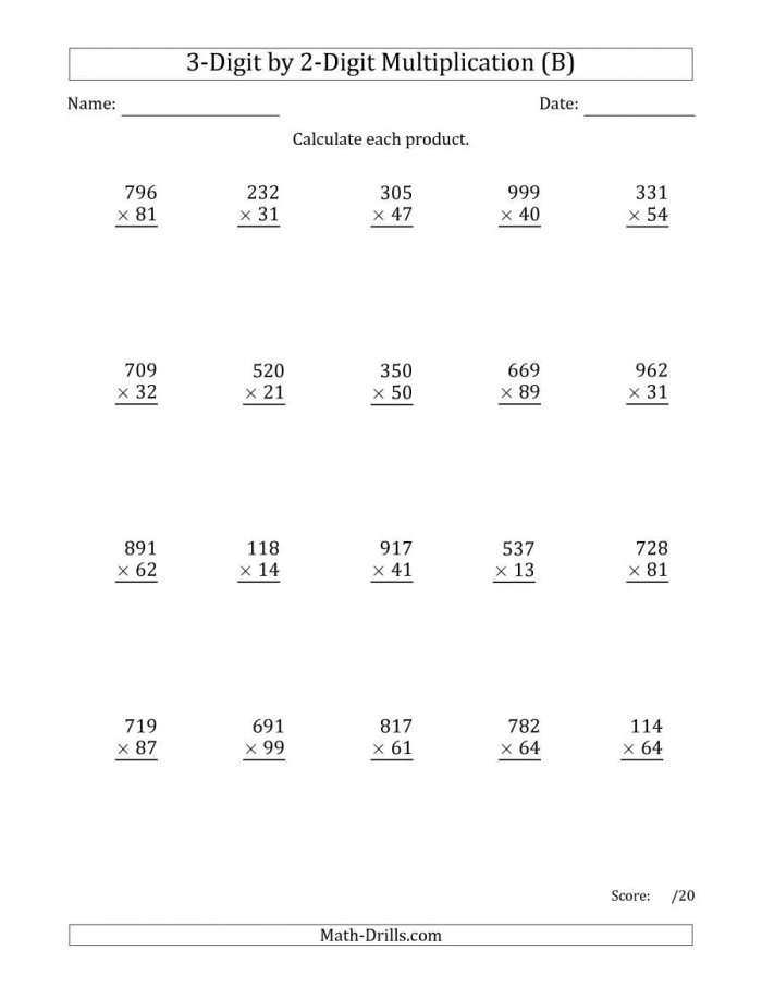 3 Digit By 2 Digit Multiplication Worksheets 99Worksheets
