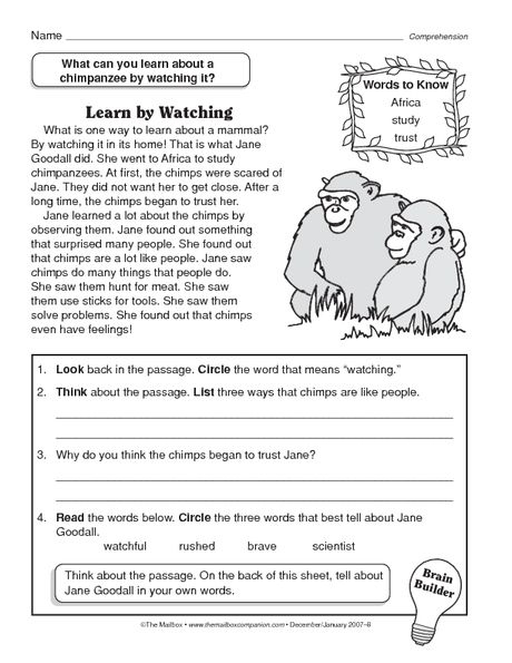 Science Comprehension Worksheets