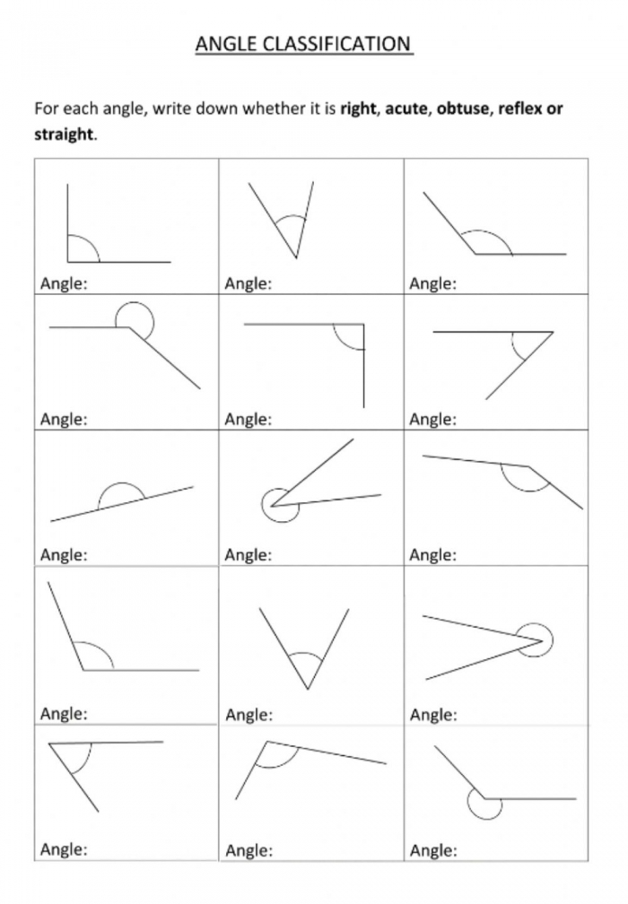 Types Of Angles Worksheet